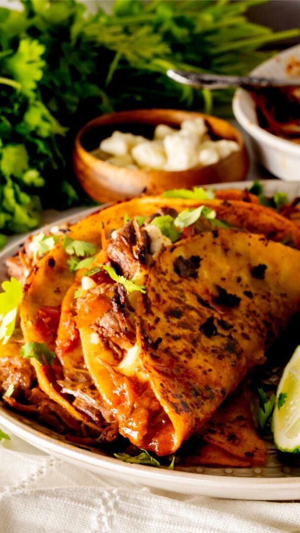 Easy Birria Tacos Recipe - Mama Needs Cake®